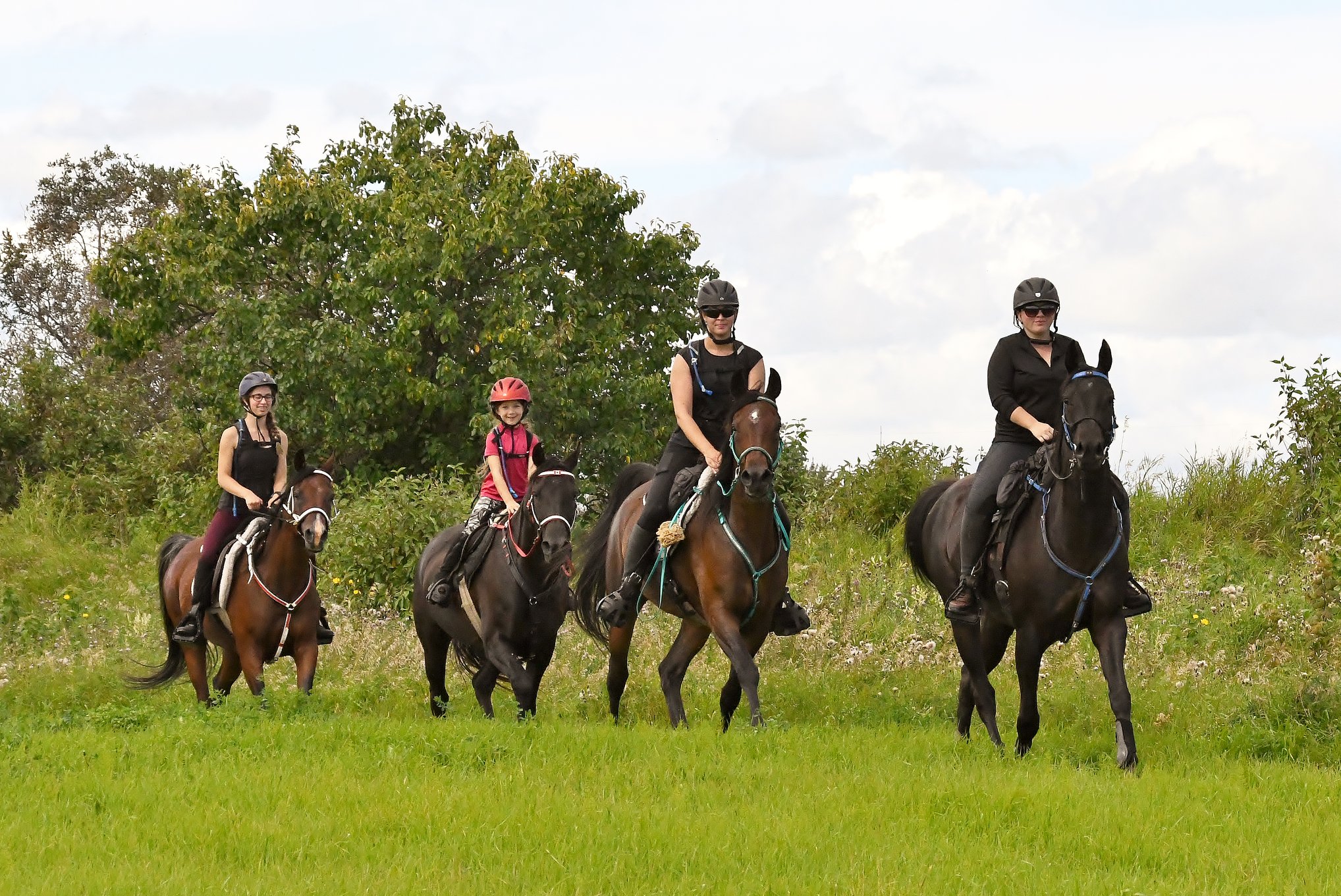 Recruits – Endurance Riders Of Alberta